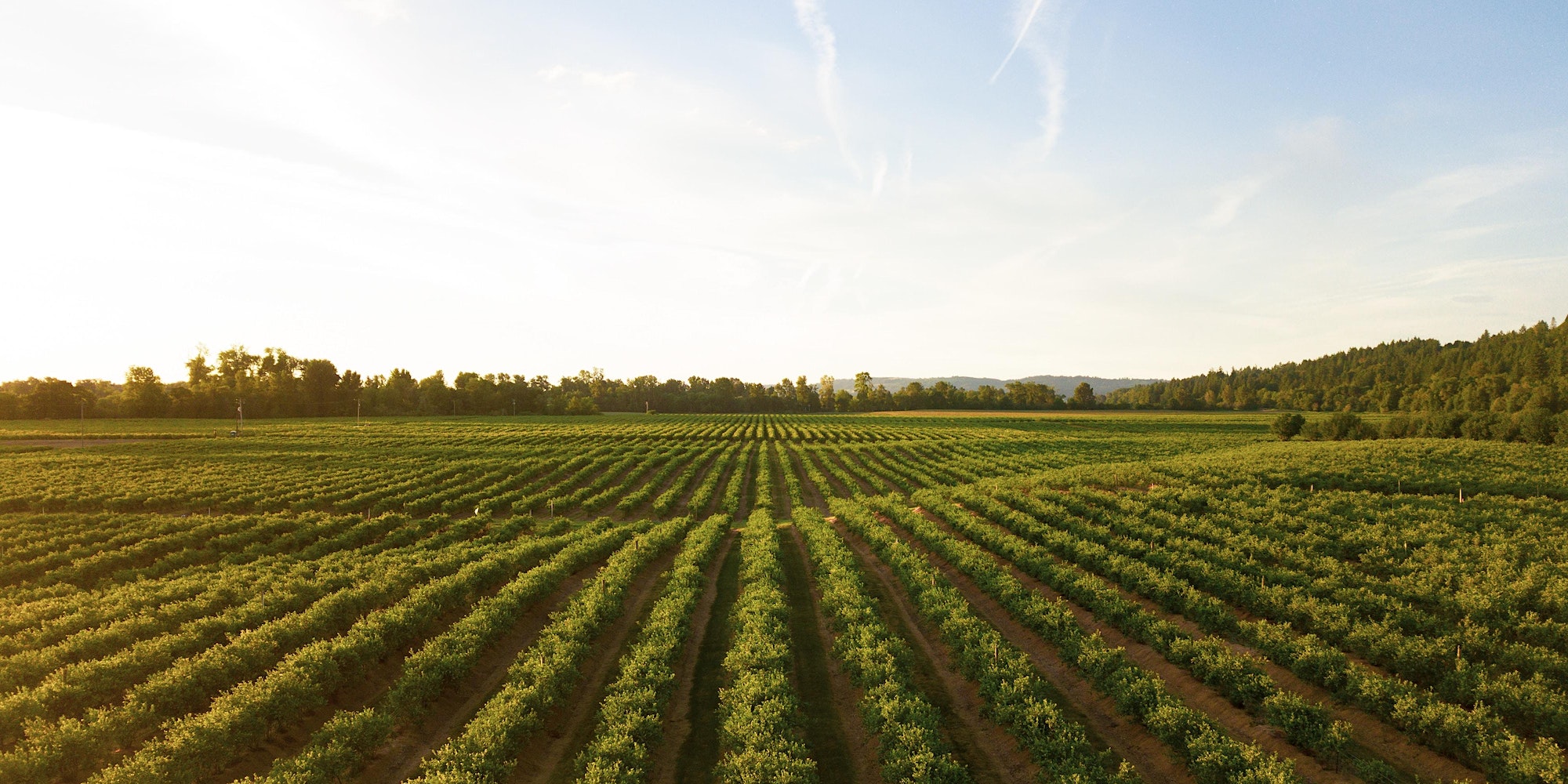 Support AgBio+AgTech Networking in 2025 — AgBio + AgTech